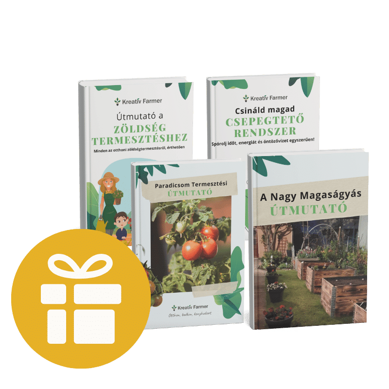 Rekord paprika (Rédei Kertimag) – Kreatív Farmer